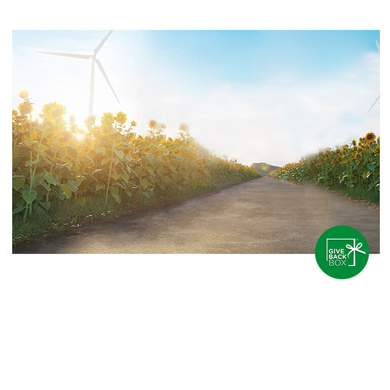 ASICS | Official U.S. Site | Running Shoes and Activewear | ASICS